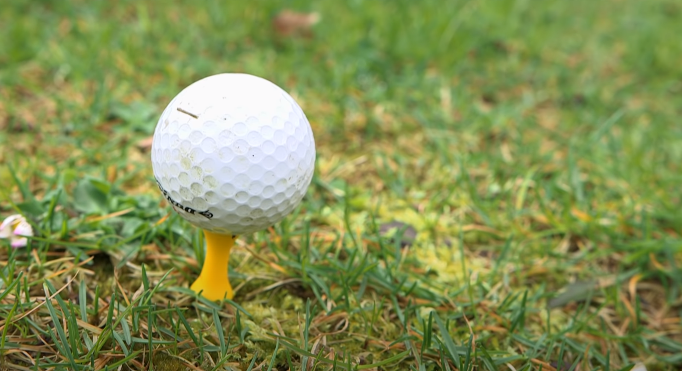 How to Become a Pro Golfer [Guide For Beginners] - GolfProfy